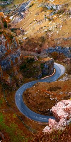 Bentley Environmental Foundation | Projects | Bentley Motors